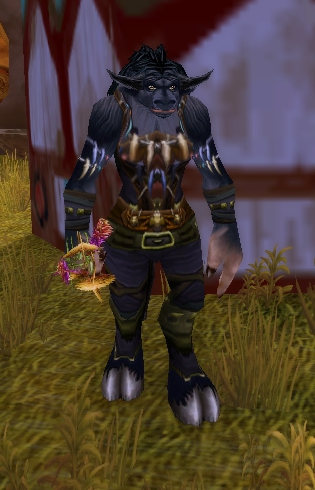 Seer Ravenfeather - NPC - TBC Classic