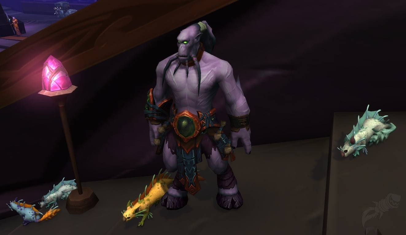 타바누 - NPC - 월드 오브 워크래프트