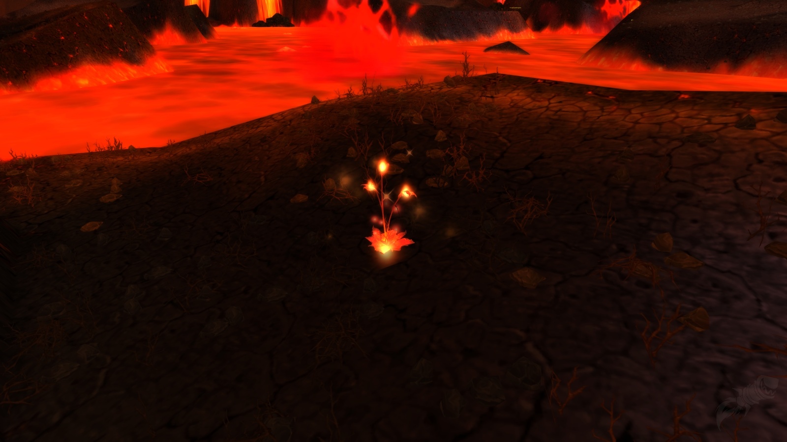 Cinderbloom - Item - Cataclysm Classic