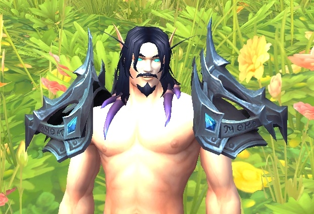 Pauldrons of Immaculate Laceration - Item - World of Warcraft