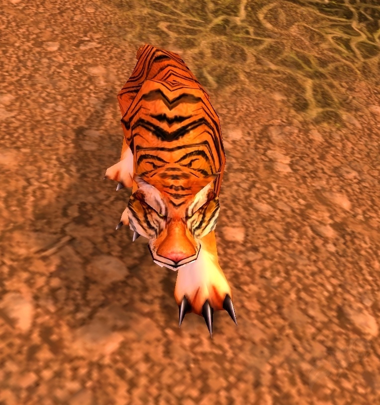 Durotar Tiger - NPC - Mists of Pandaria Classic