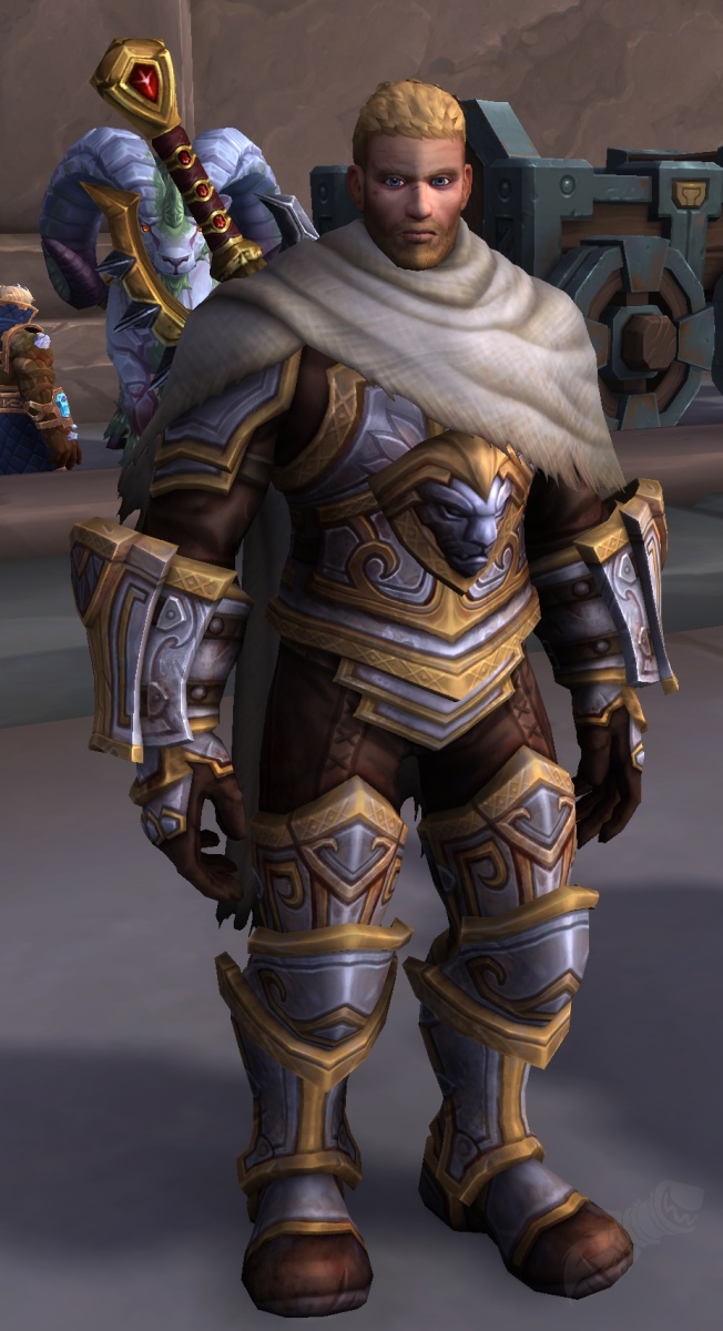 Anduin Wrynn - NPC - 11.0.2 Beta