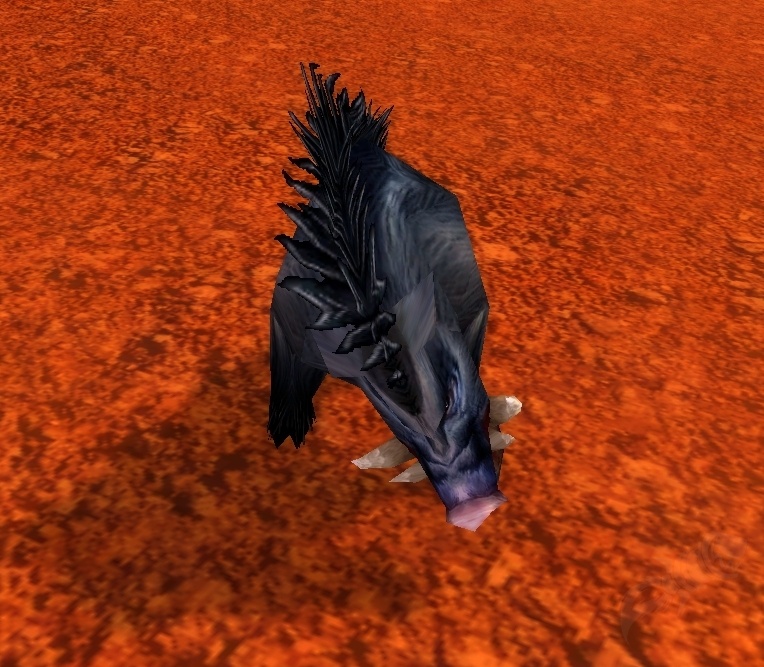 Dire Mottled Boar - NPC - Mists of Pandaria Classic