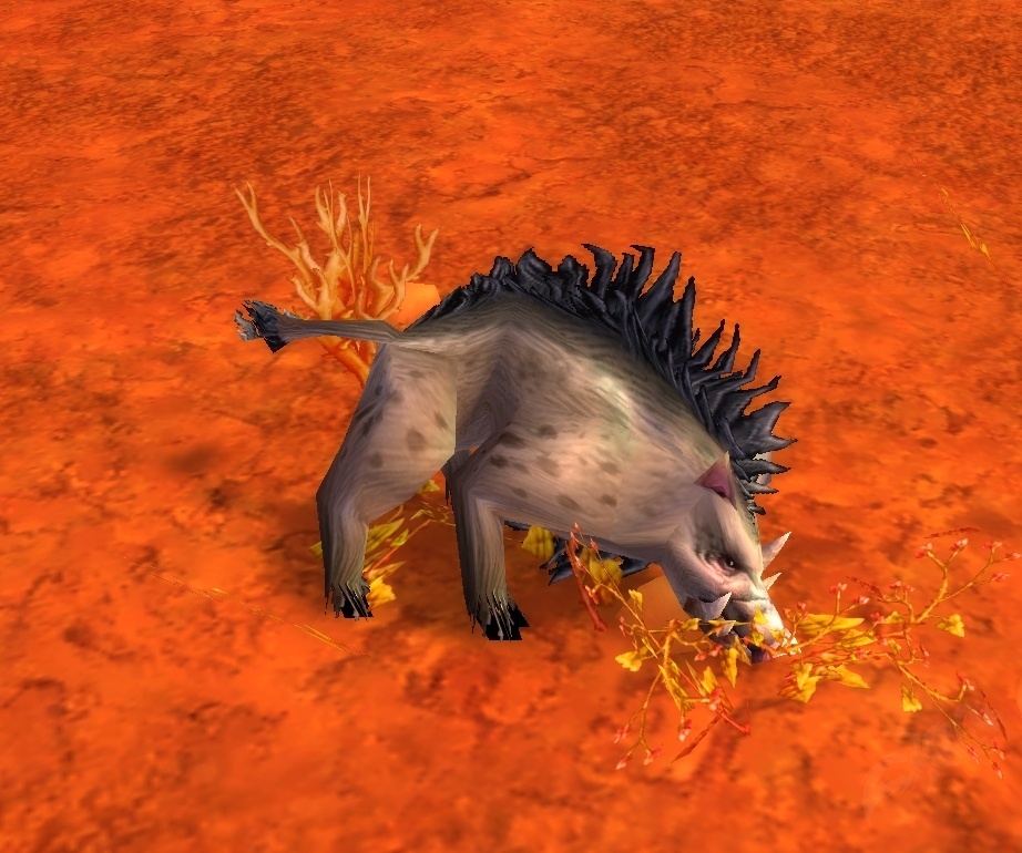 Mottled Boar - NPC - Mists of Pandaria Classic