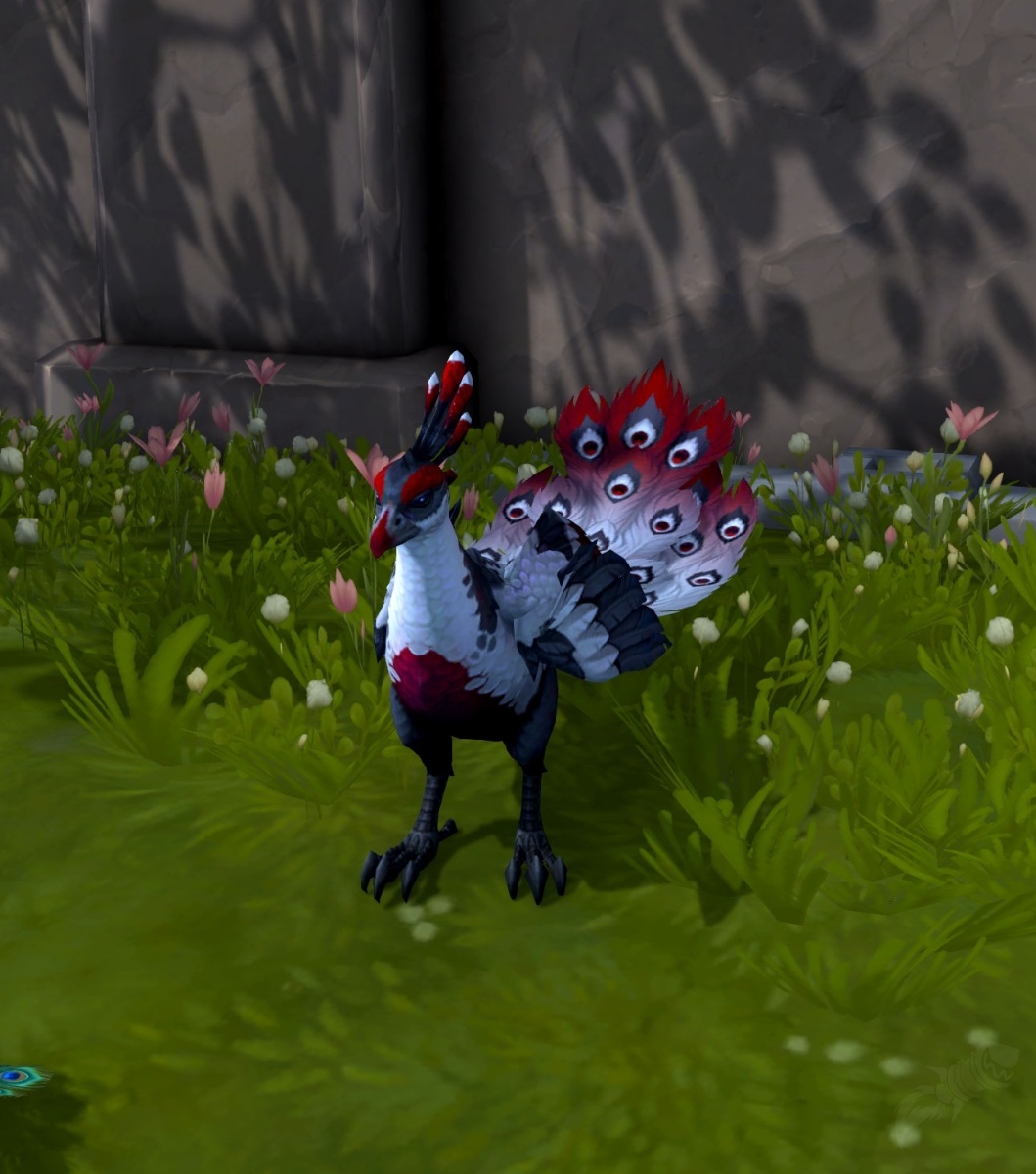 Pavo real resplandeciente - PNJ - World of Warcraft