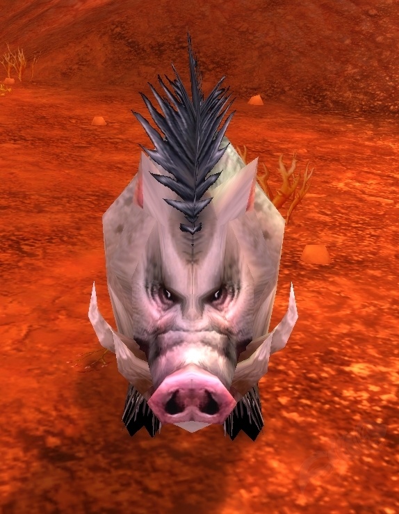 Elder Mottled Boar - NPC - Mists of Pandaria Classic