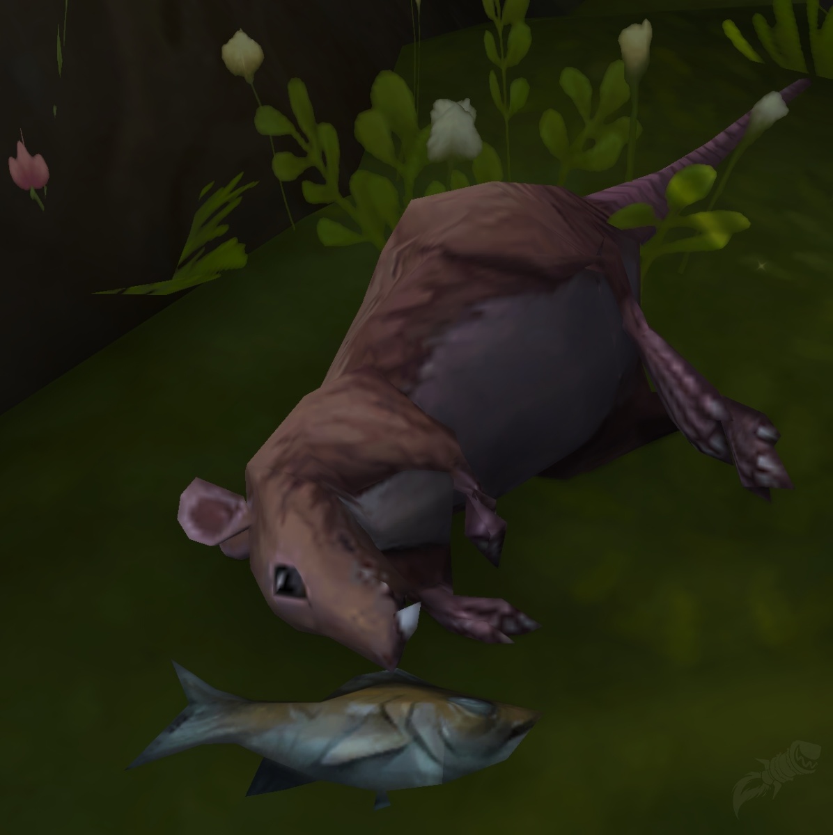 Dalaran Sewer Rat - NPC - World of Warcraft