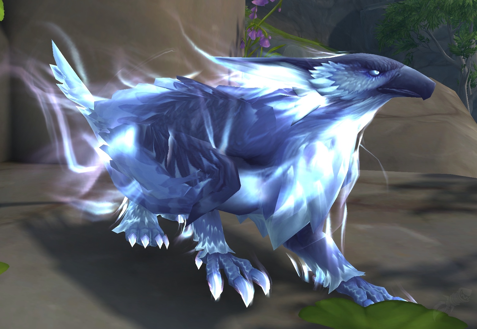 Swift Cloudrook - NPC - World of Warcraft