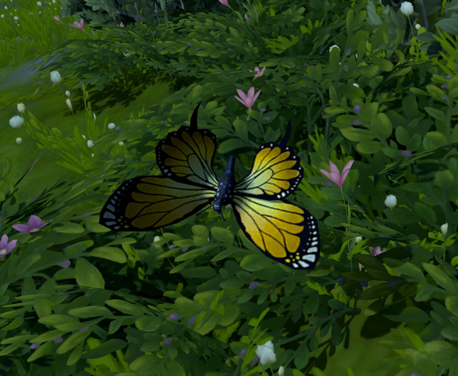 Alasol diminuto - PNJ - World of Warcraft