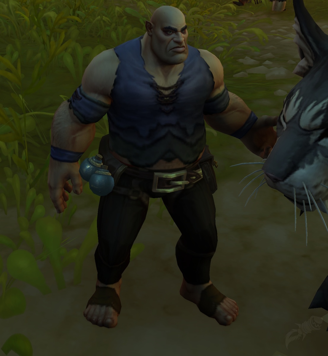 Arathi Wrangler - NPC - World of Warcraft