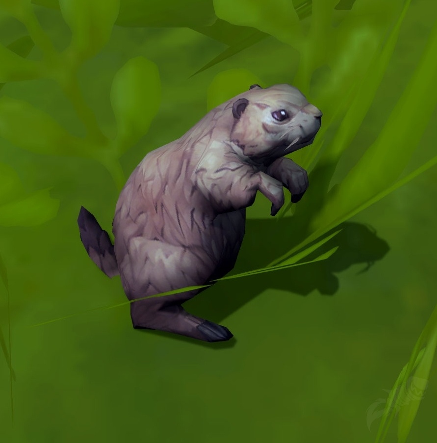 Prairie Dog - NPC - World of Warcraft