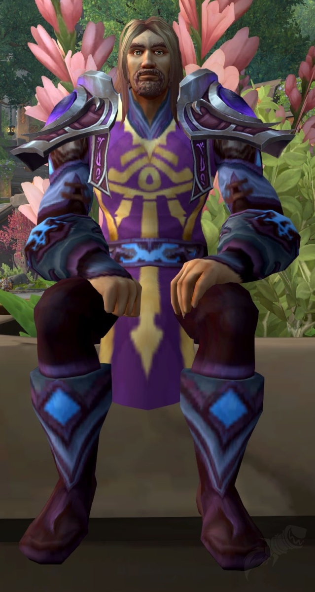 Dalaran Survivor - NPC - World of Warcraft