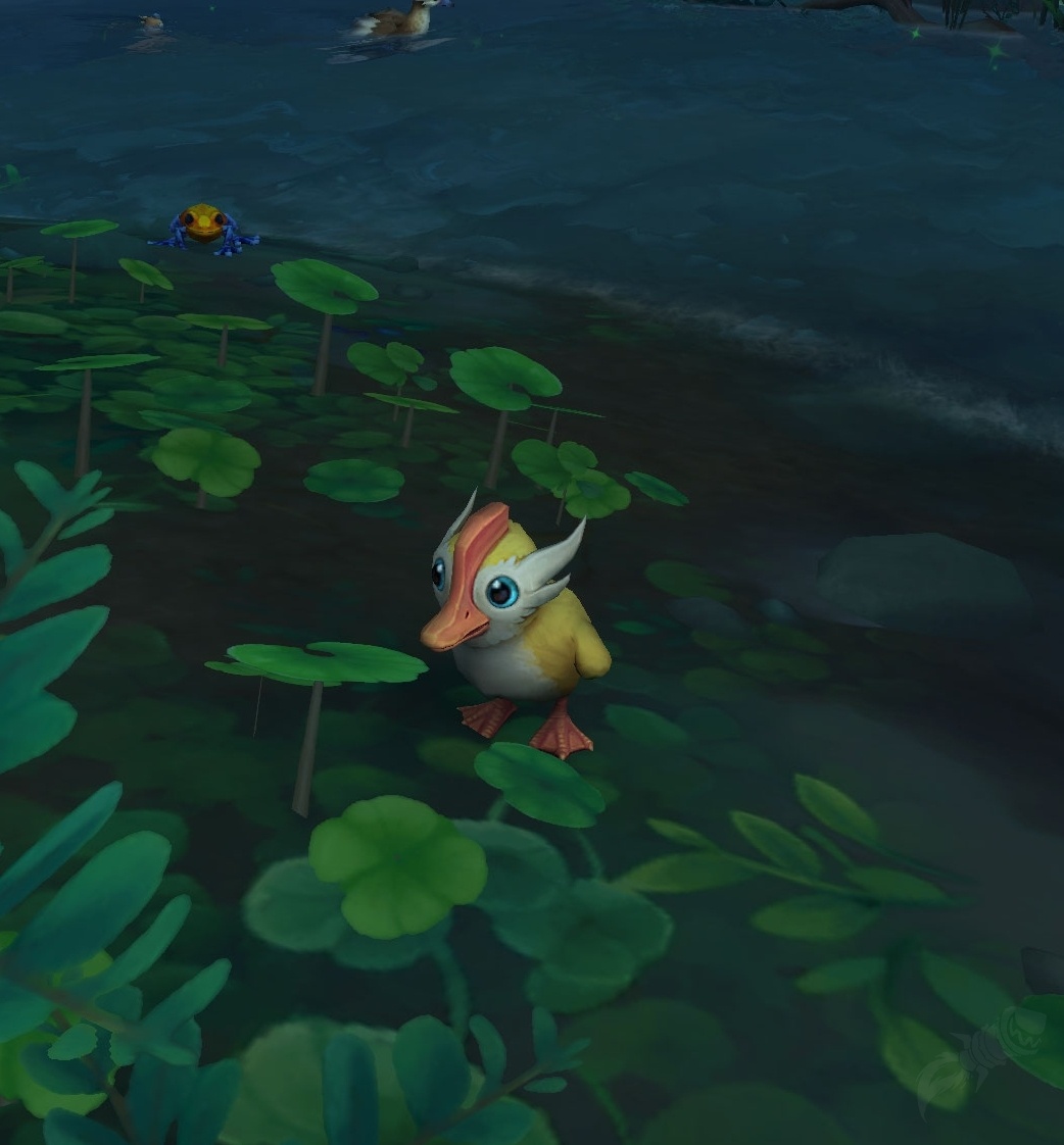 Patinho de Madeira - PNJ - World of Warcraft