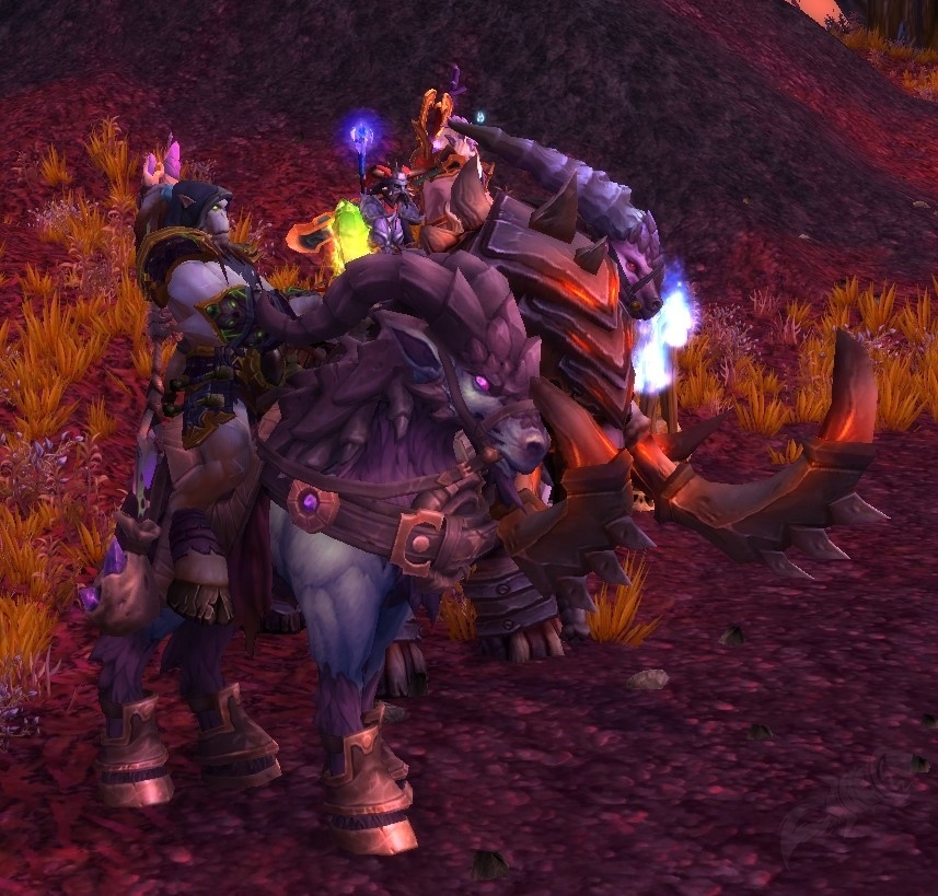Taumaturgo krokul - PNJ - World of Warcraft