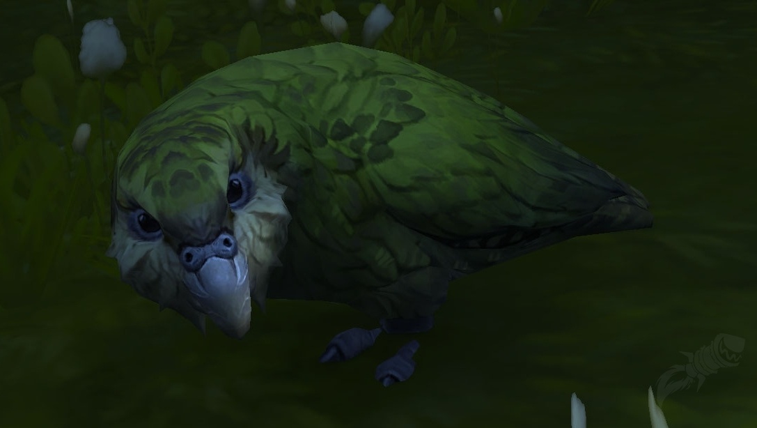 Spring Waddler - NPC - World of Warcraft