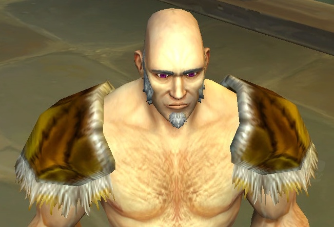 Sentinel Shoulders - Item - World of Warcraft