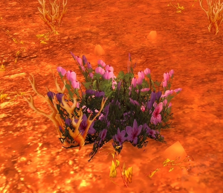 Mageroyal - Object - Cataclysm Classic