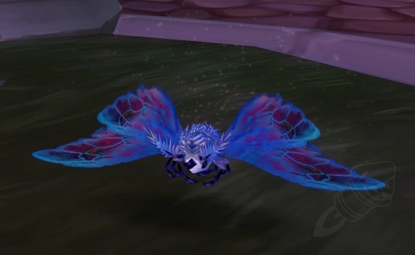 Blue Moth Egg - Item - World of Warcraft