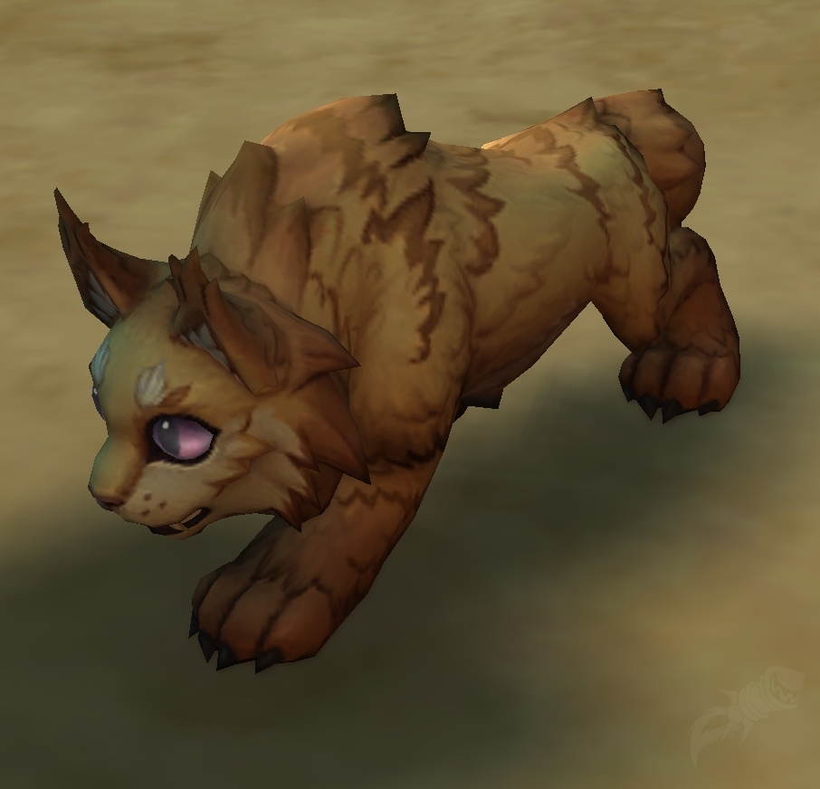 Jeune lynx de la ferme - PNJ - World of Warcraft