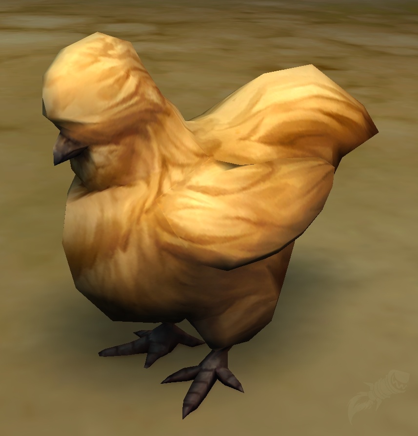 Pollo satisfecho - PNJ - World of Warcraft