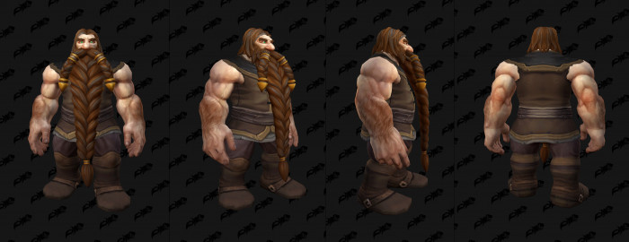 Magni Model Update on The War Within Beta (Story Spoilers) - Wowhead News