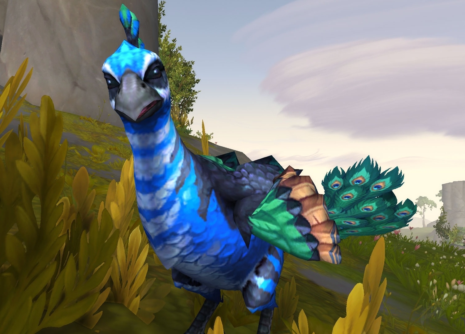 Pavo real deslumbrante - PNJ - World of Warcraft