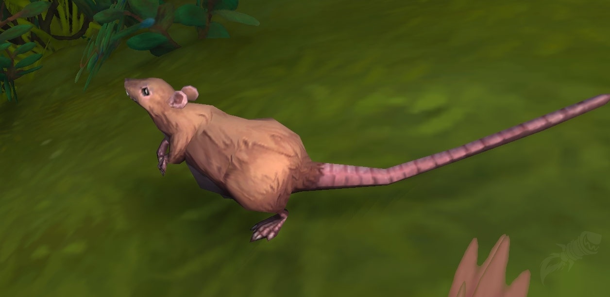 Forest Mouse - NPC - World of Warcraft