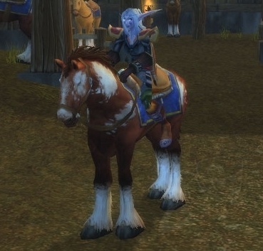 Brida de pinto - Objeto - WotLK Clásico