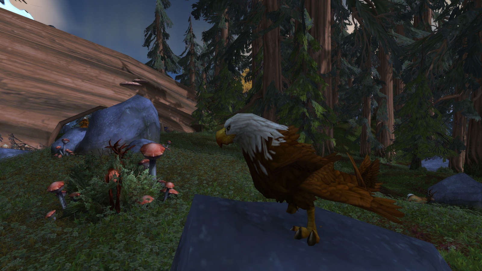Eagle Eyes - Quest - World of Warcraft