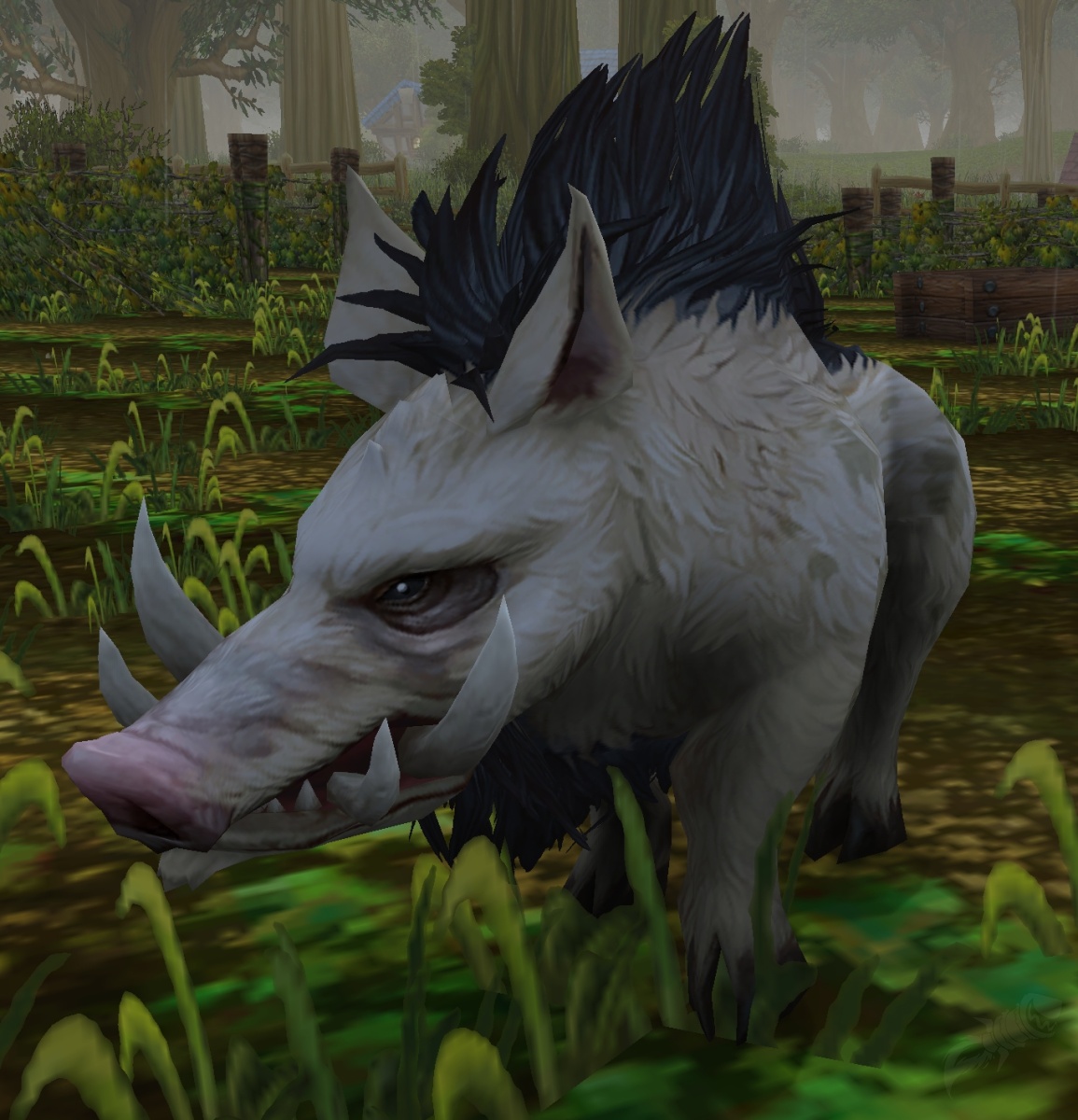 Stonetusk Boar - NPC - World of Warcraft