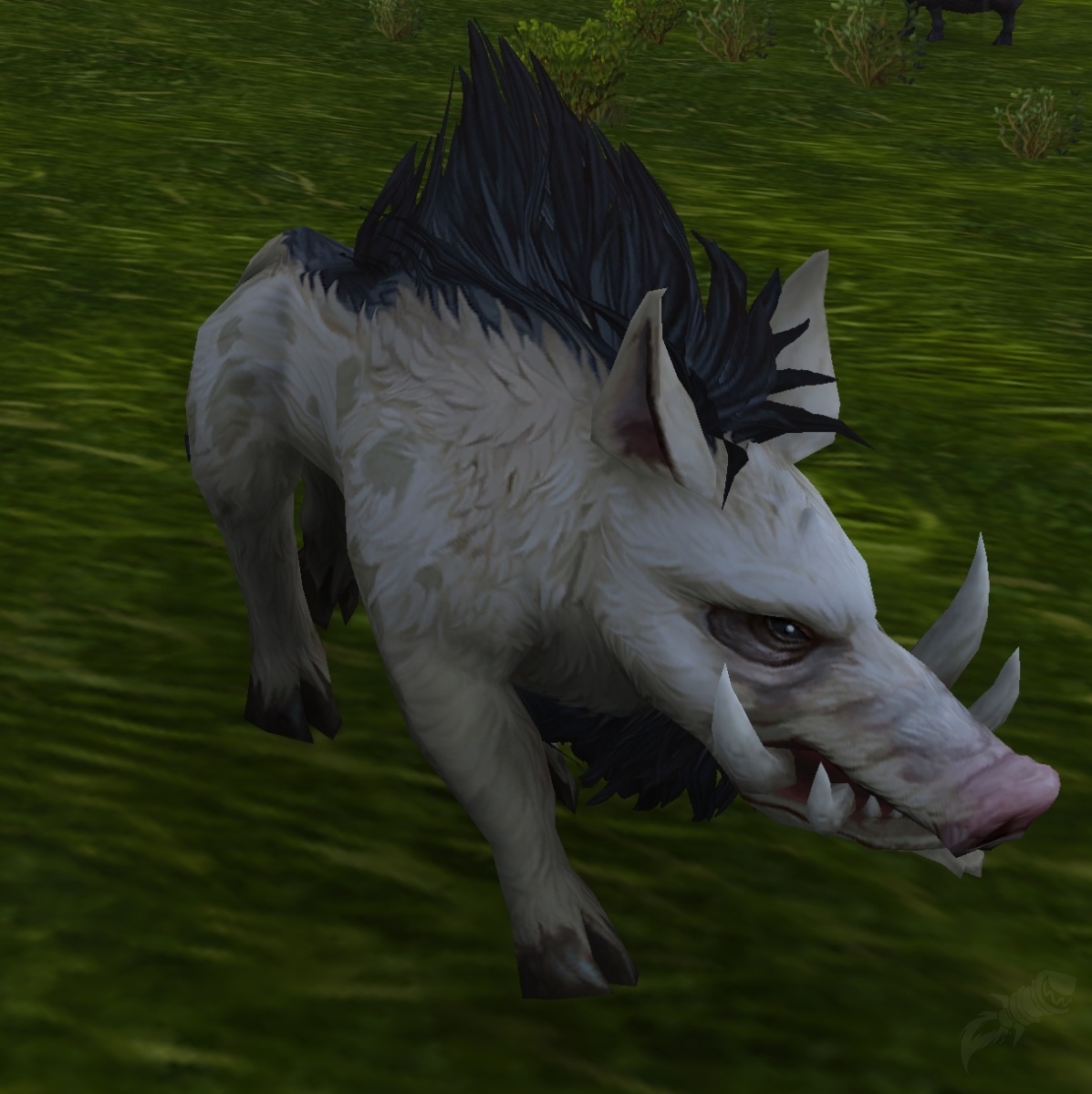 Rockhide Boar - NPC - World of Warcraft