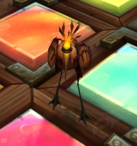 Windfeather Chick - NPC - World of Warcraft