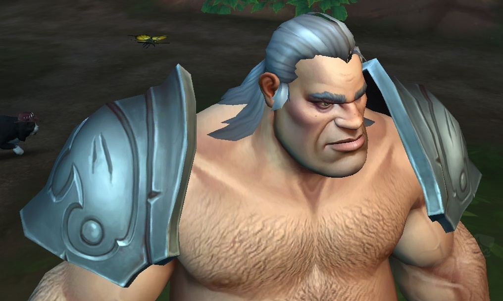 Expedition Guard's Spaulders - Item - World of Warcraft