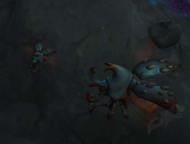 Scuttering Beetle - NPC - World of Warcraft