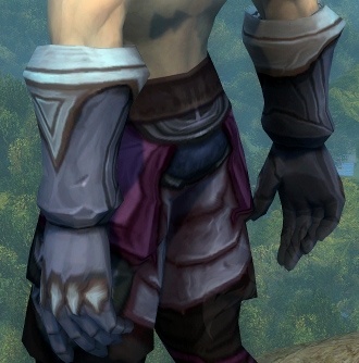 Shieldguard's Gauntlets - Item - World of Warcraft