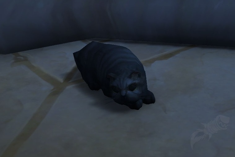Ruufus - NPC - World of Warcraft