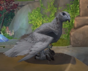 Falcón de caliza - PNJ - World of Warcraft