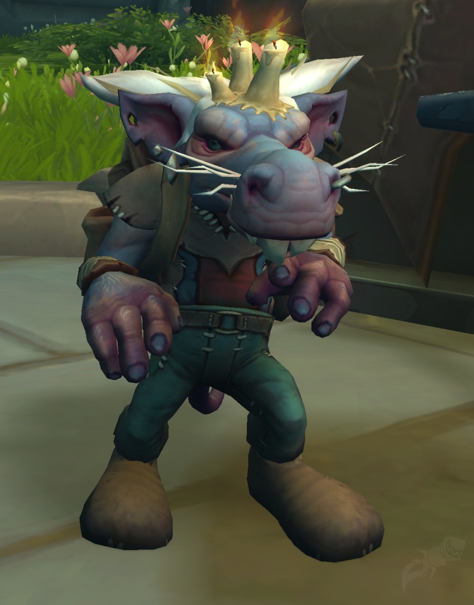 Candlelit Pebblemaker - NPC - World of Warcraft