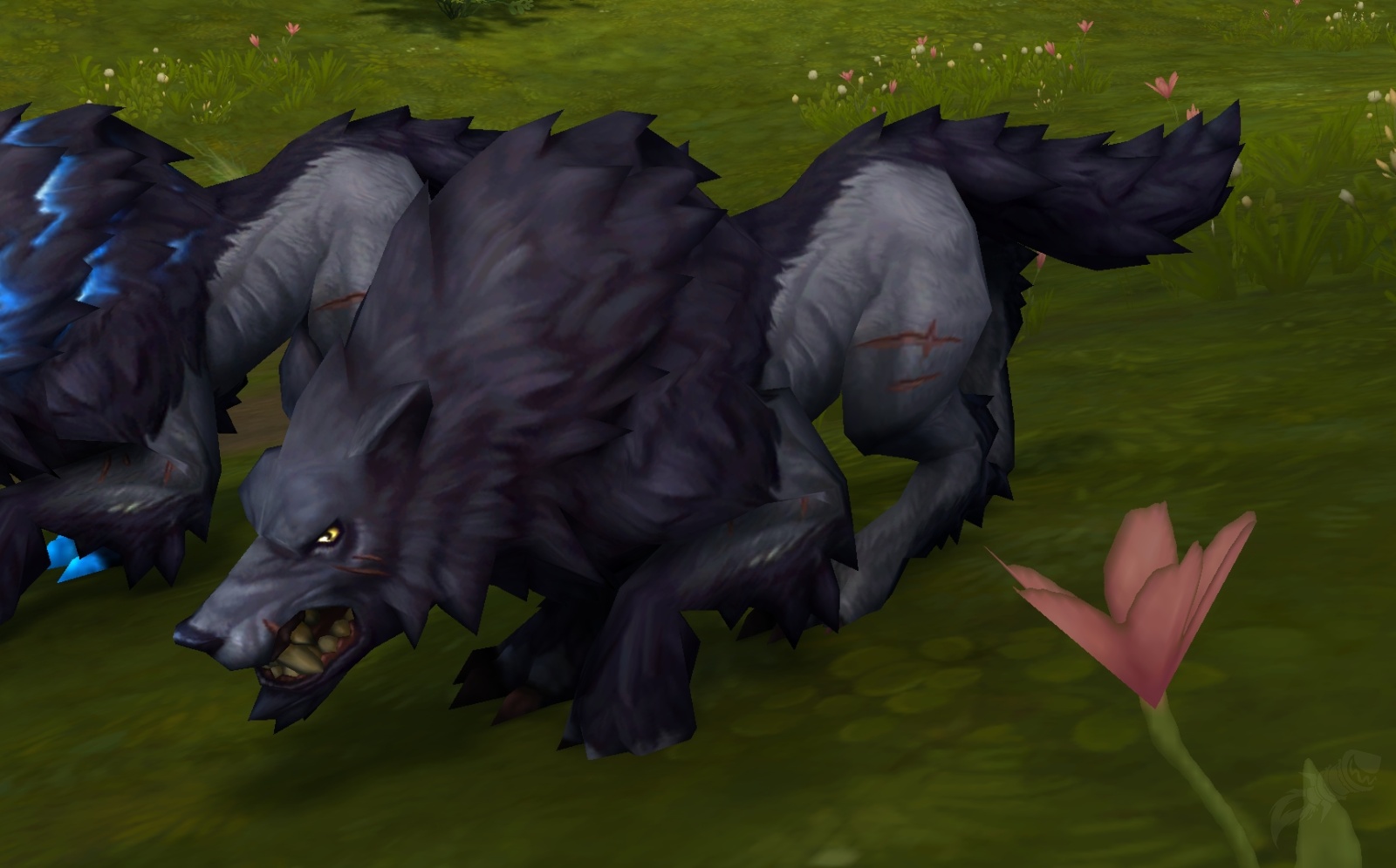 Scavenging Stormfang - NPC - World of Warcraft