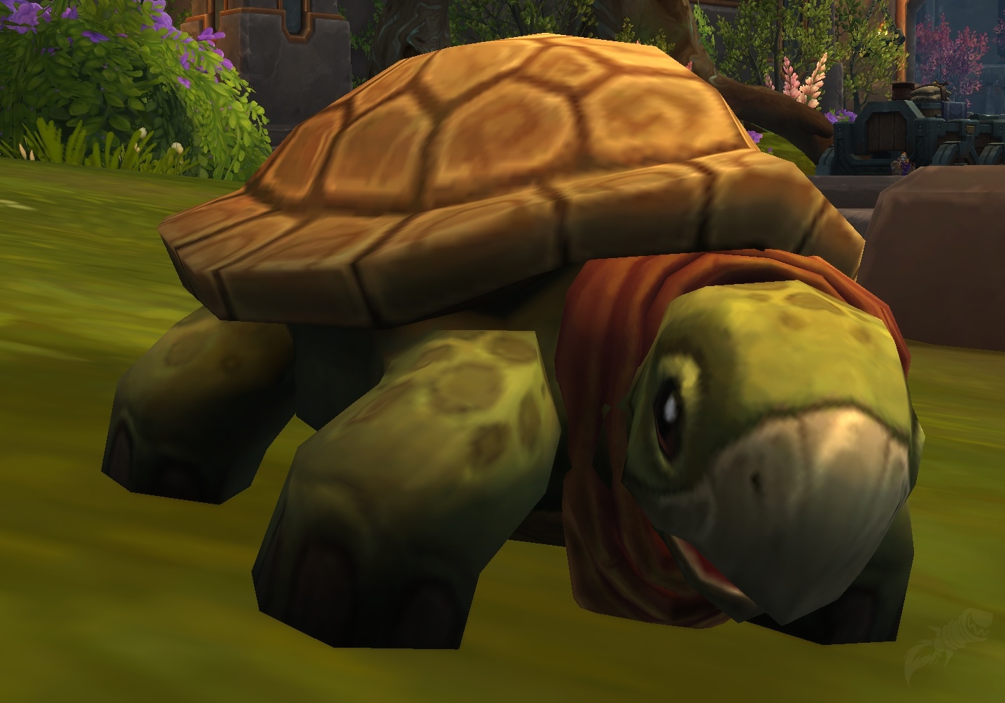 Dalaran Sewer Turtle - NPC - World of Warcraft