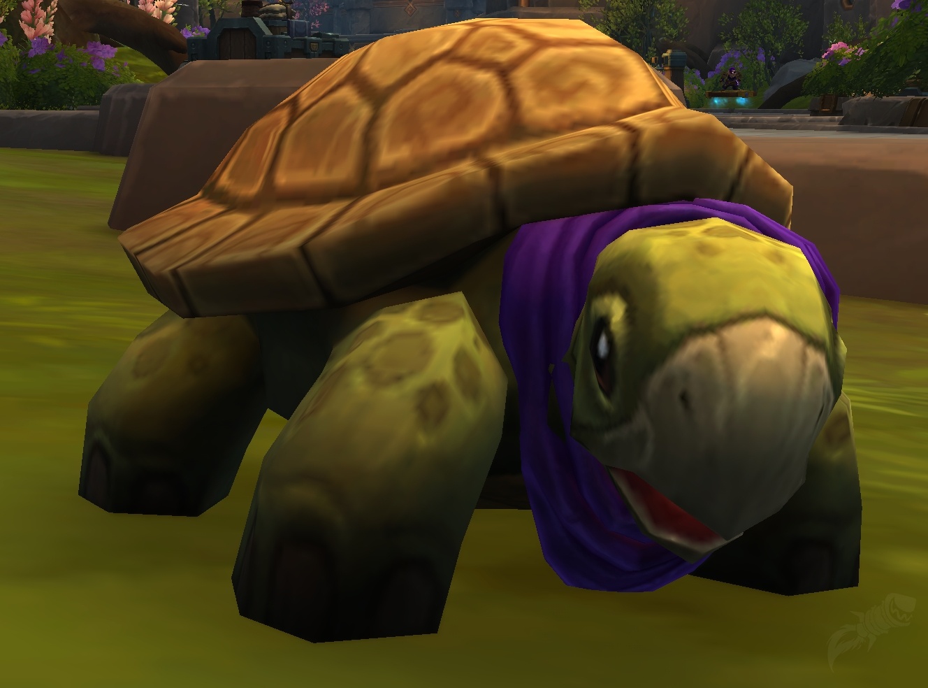 Dalaran Sewer Turtle - NPC - World of Warcraft