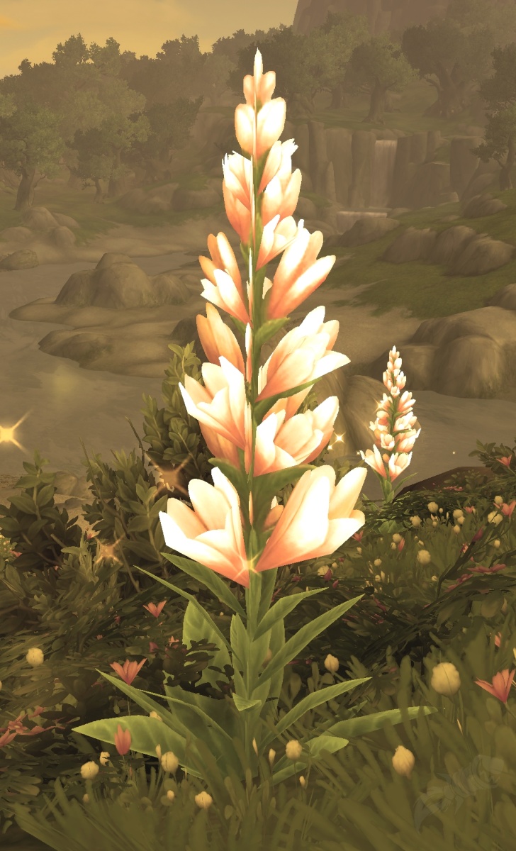 Prooftelling Flower - Object - World of Warcraft