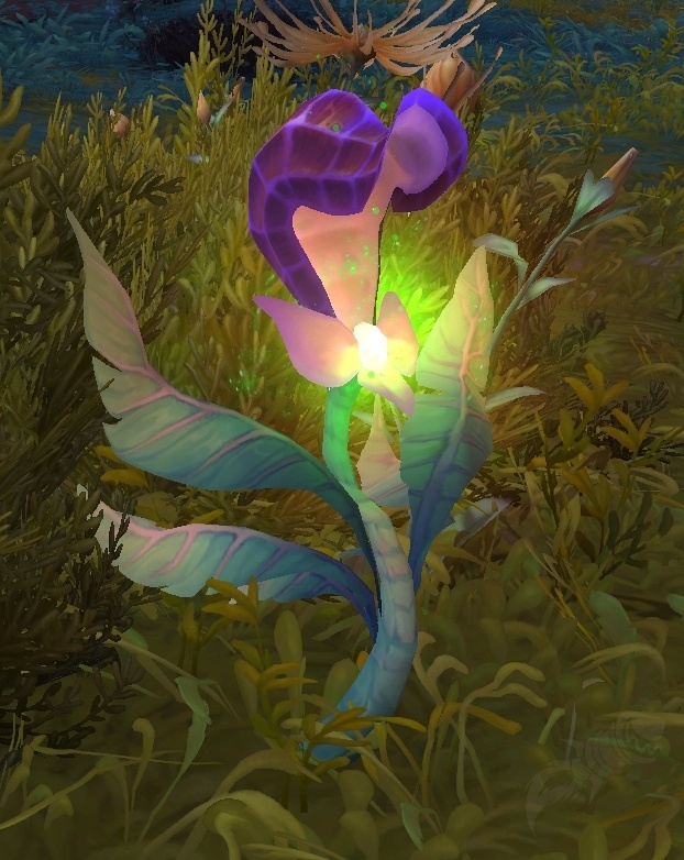Sporefused Blessing Blossom - Spell - World of Warcraft