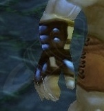 Brawler Gloves - Item - Wrath Classic