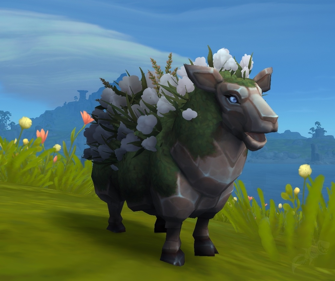 Shale Mosswool - NPC - World of Warcraft