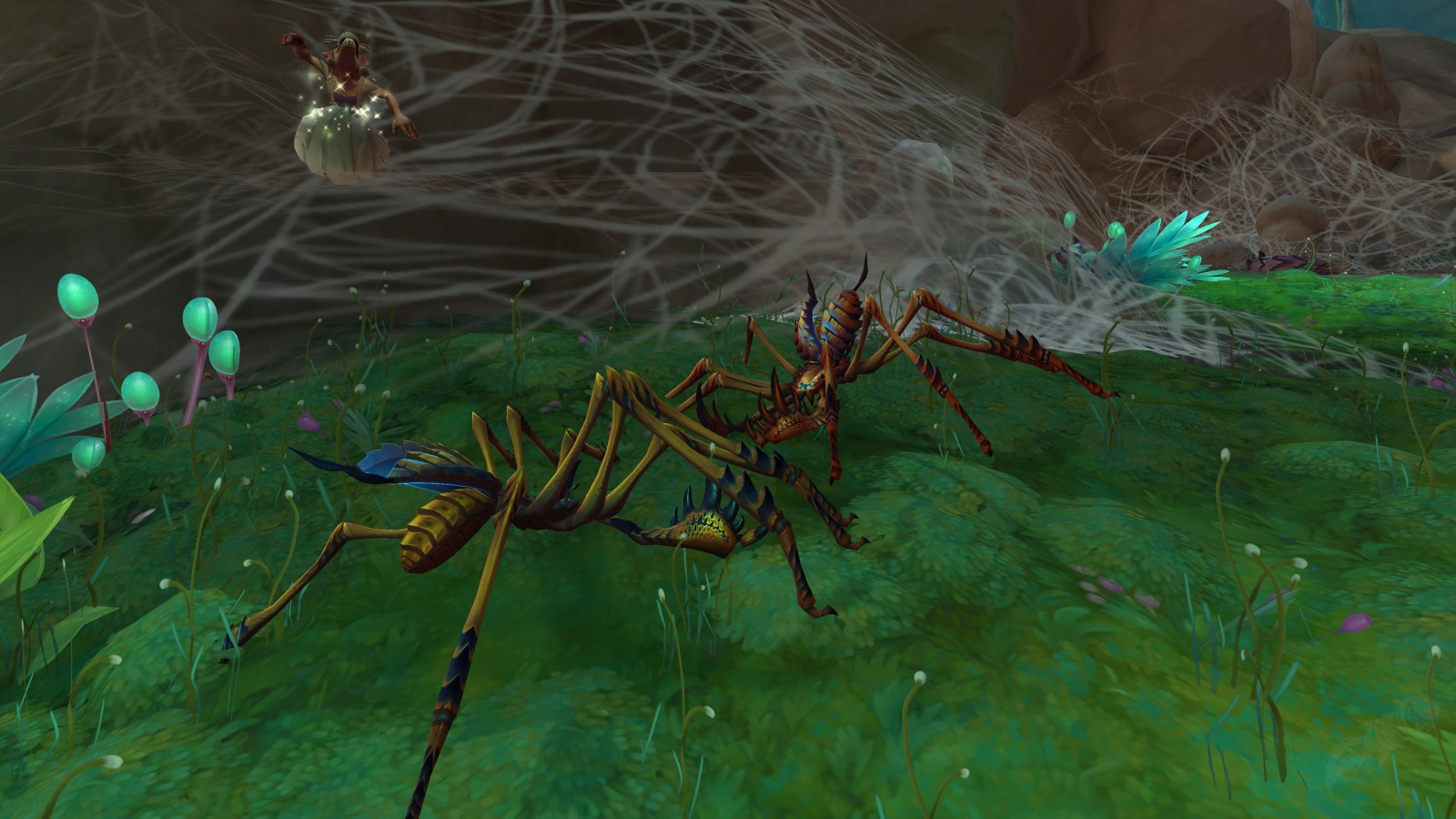 Hair of the Spider - Quest - 11.2.0 PTR