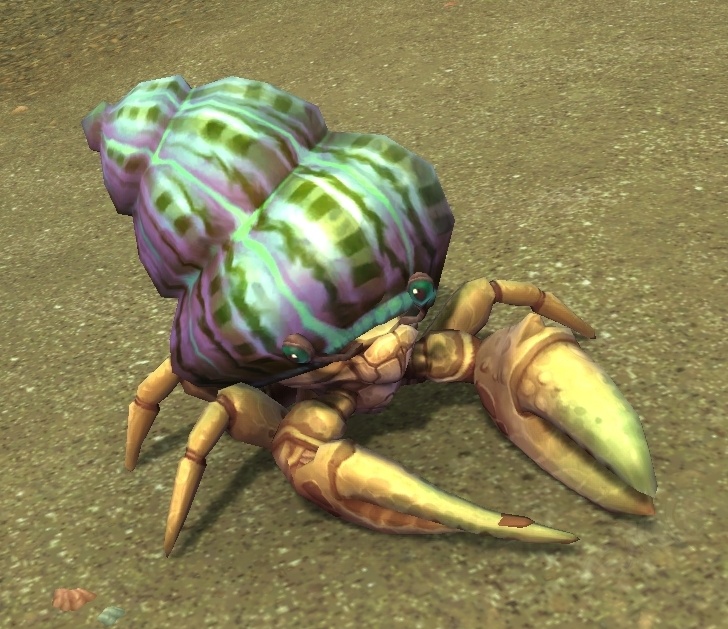 Shimmering Hermit - NPC - World of Warcraft