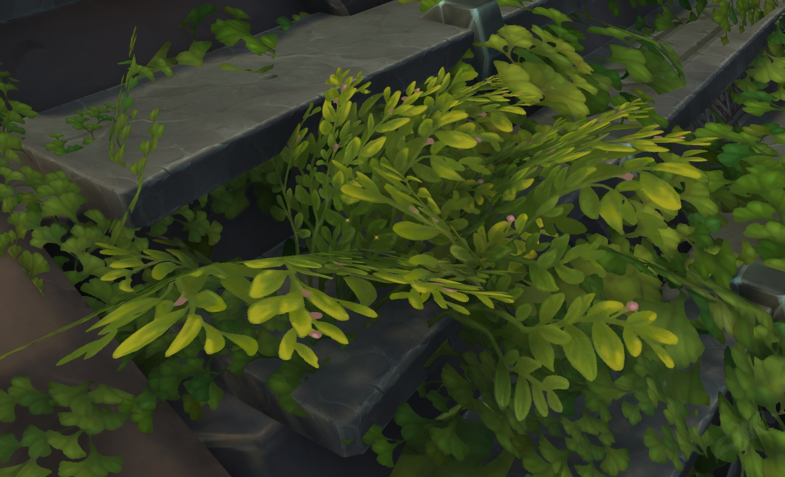 Bushy Weeds - NPC - World of Warcraft