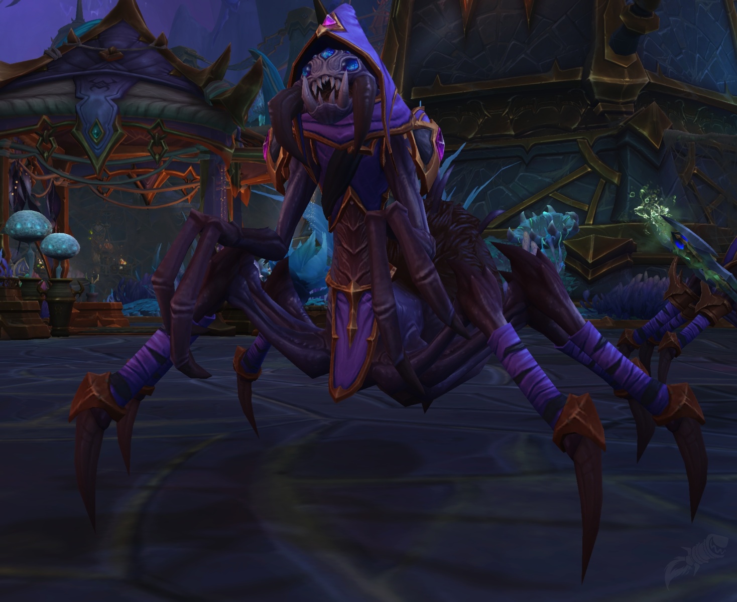 Sureki Silkbinder - NPC - World of Warcraft