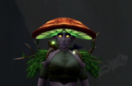 Bitter Shroom Cap - Item - World of Warcraft